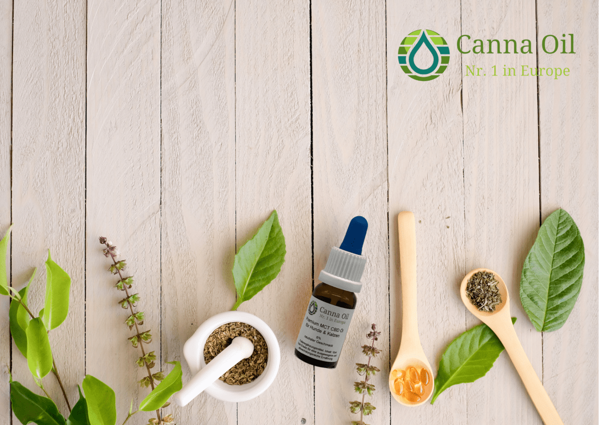 Canna Oil - 100% natürliches CBD Öl - CBD-Produkte für Tiere
